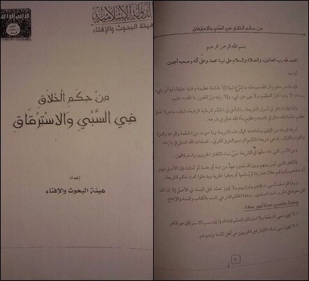 concubines islam hadith